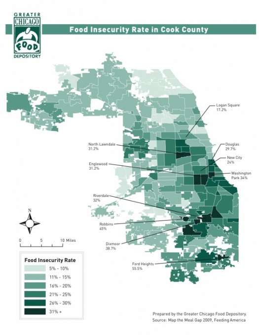 Study reveals poor, other income levels 'food insecure' | Chicago Defender