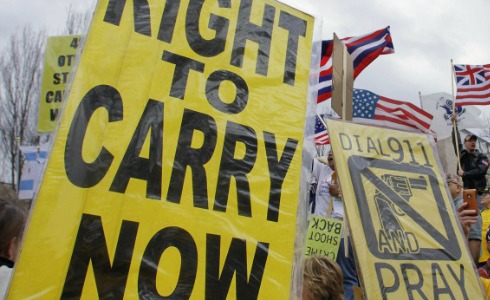 Court Ruling on Illinois Gun Ban Sets Stage for Fight | Chicago Defender