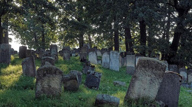 Archaeologists Uncover Hundreds Of Black Graves Near Church | Chicago ...