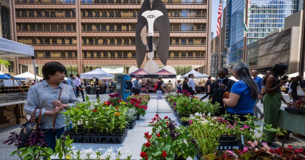 Daley Plaza Farmers Market Returns May 22 with Fresh Produce, Local ...